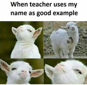 20 Memes that sum up the student experience - Academy of Learning