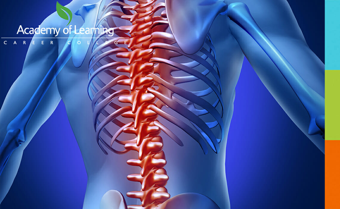 Anatomy and Physiology Program | Academy of Learning